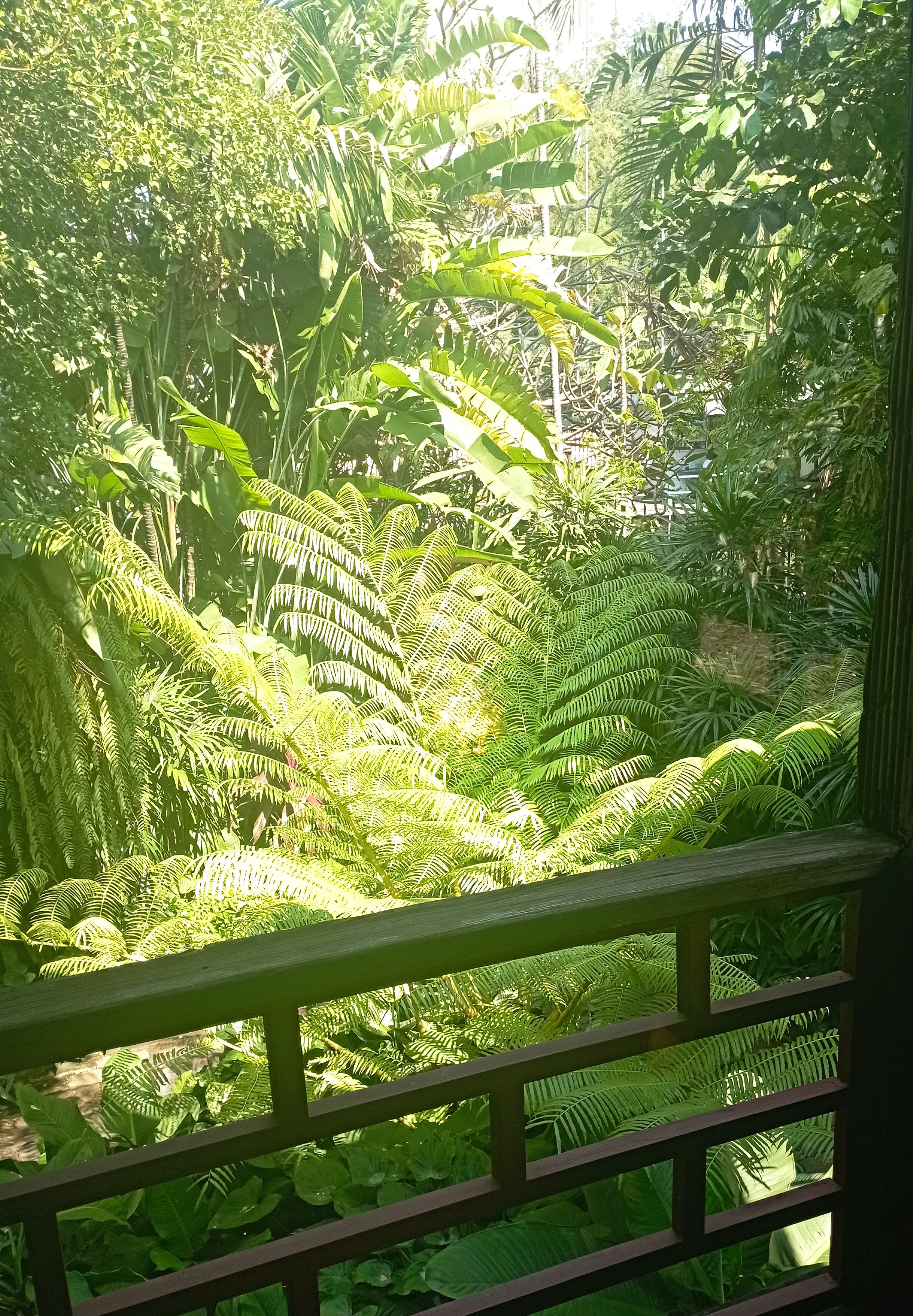 A Bangkok garden - Laurel Goss EnRoot