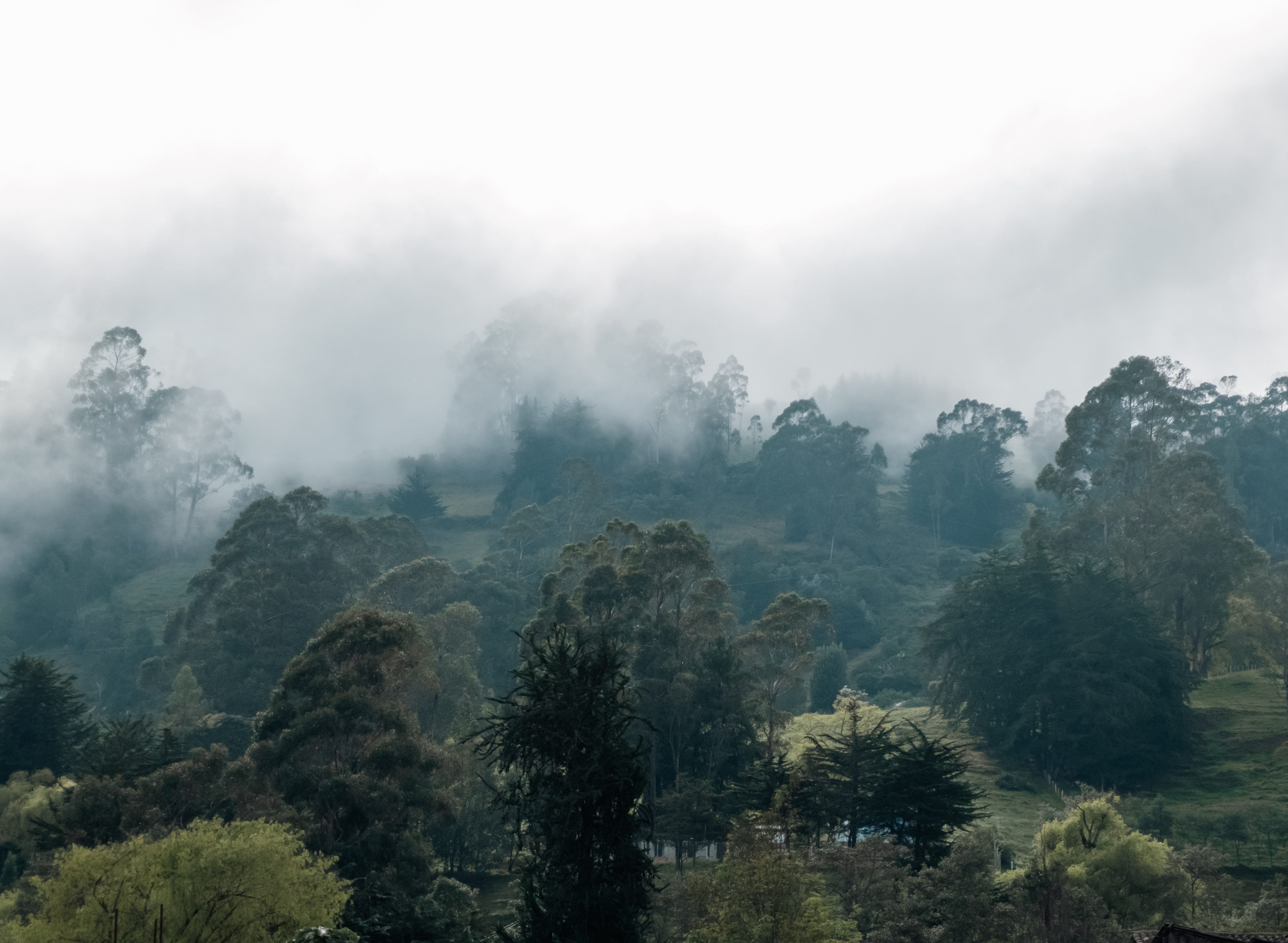 Oh Boyaca - by Cleo Jensen - An Andean Adventure