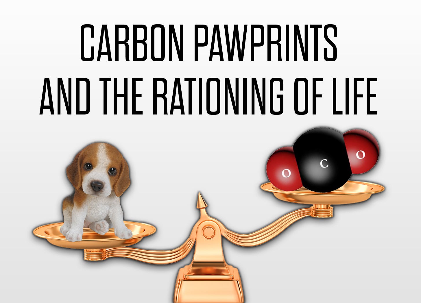 Οίμος-Αθήνα: Η ΓΕΛΟΙΟΤΗΤΑ ΤΗΣ ΕΝΟΧΟΠΟΙΗΣΗΣ ΤΟΥ ΔΙΟΞΕΙΔΙΟΥ ΤΟΥ ΑΝΘΡΑΚΑ