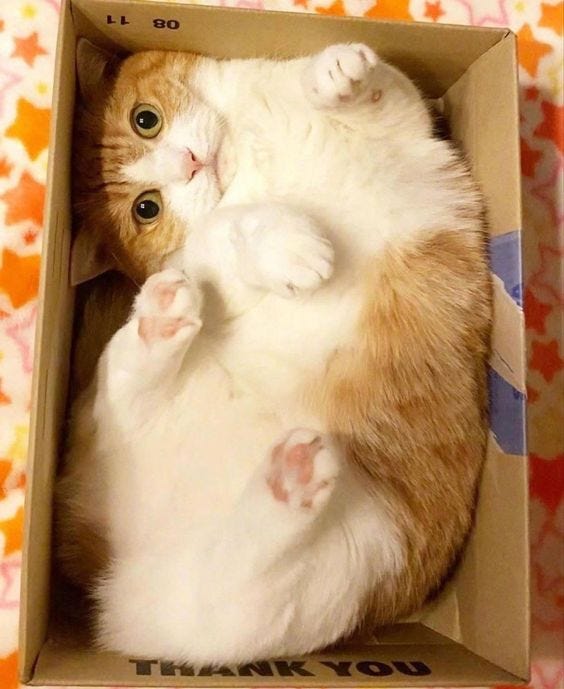 Deploy na Sexta #28: Escolhendo uma graduação de tecnologia