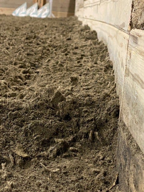 Comfort and Safety: Arena Footing for Equestrian Jumpers