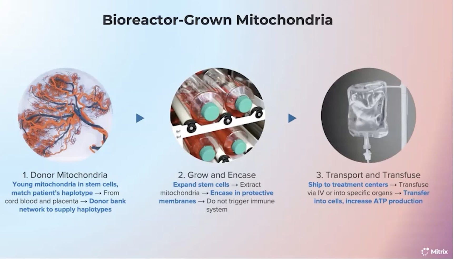 Mitrix Bio Leveraging Mitochondria Transfer for Antiaging