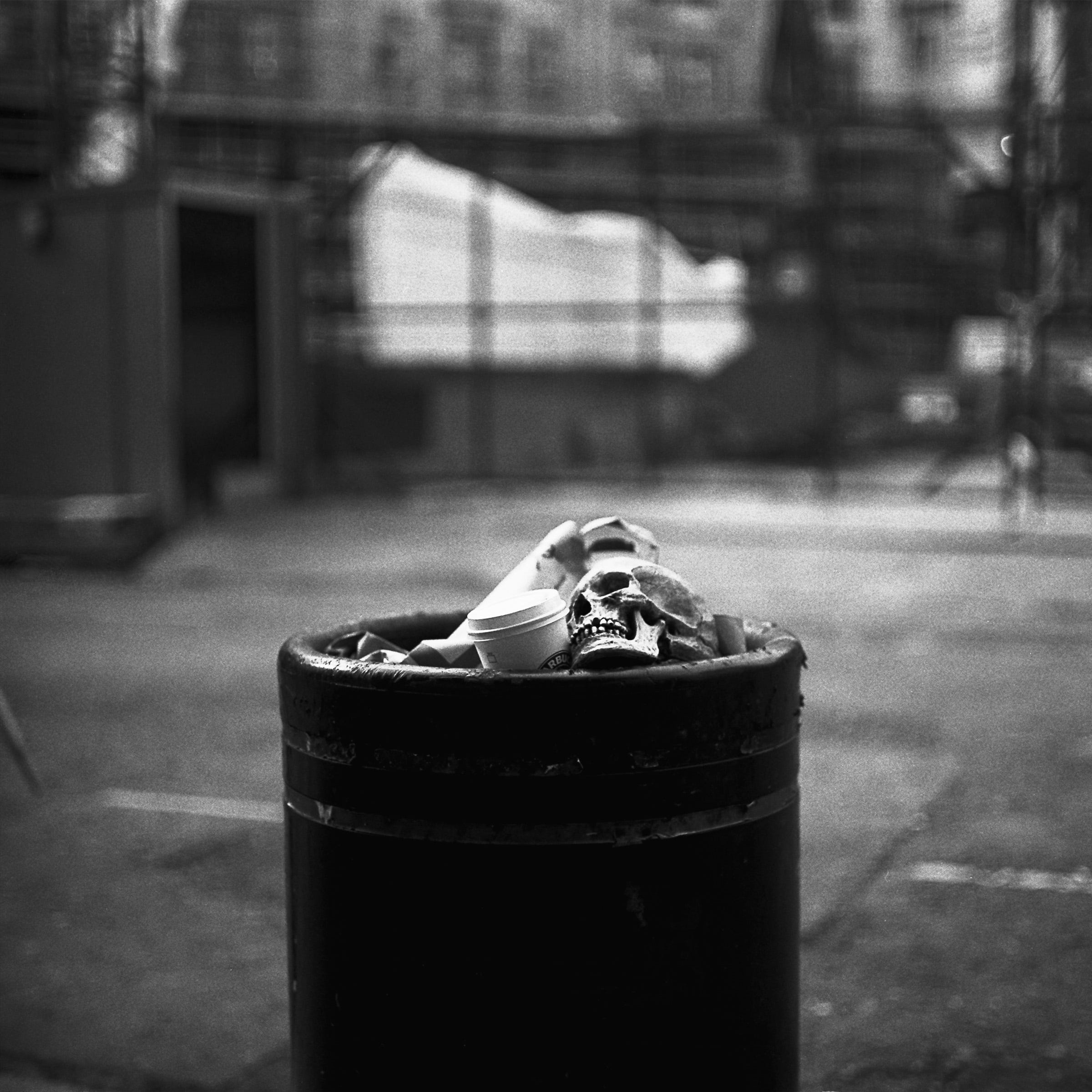 Vanity/Vanitas - by Richard Partridge