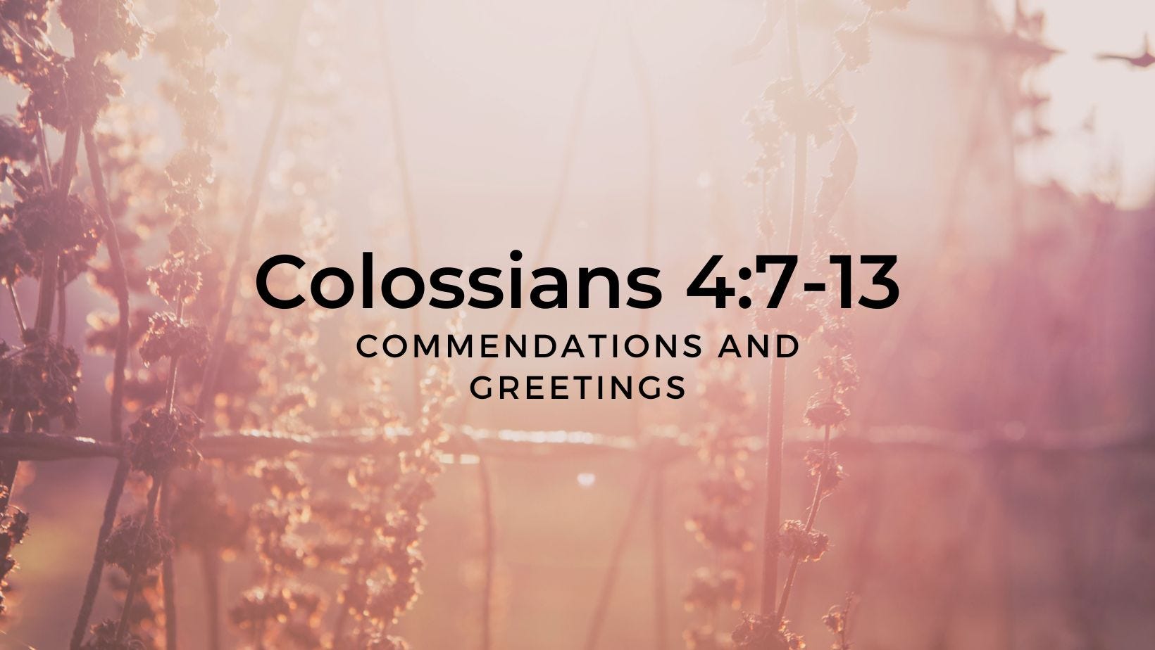 Colossians 4:7-13 - by LeaderSource