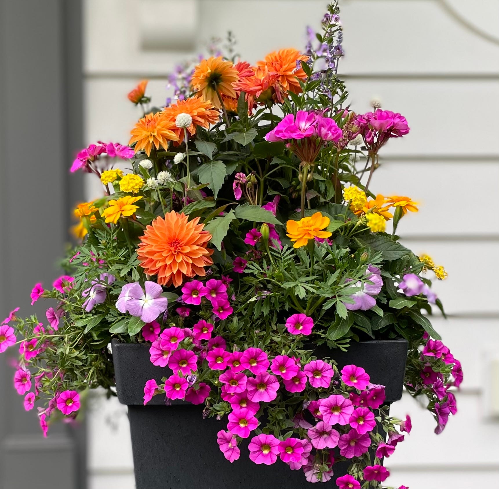 Year-End Round-up: The Top 10 Containers of 2023