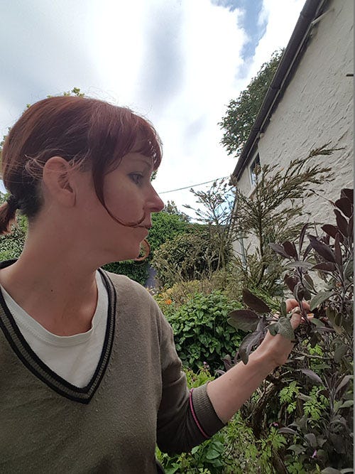 Wellbeing through gardening - by Kim Stoddart