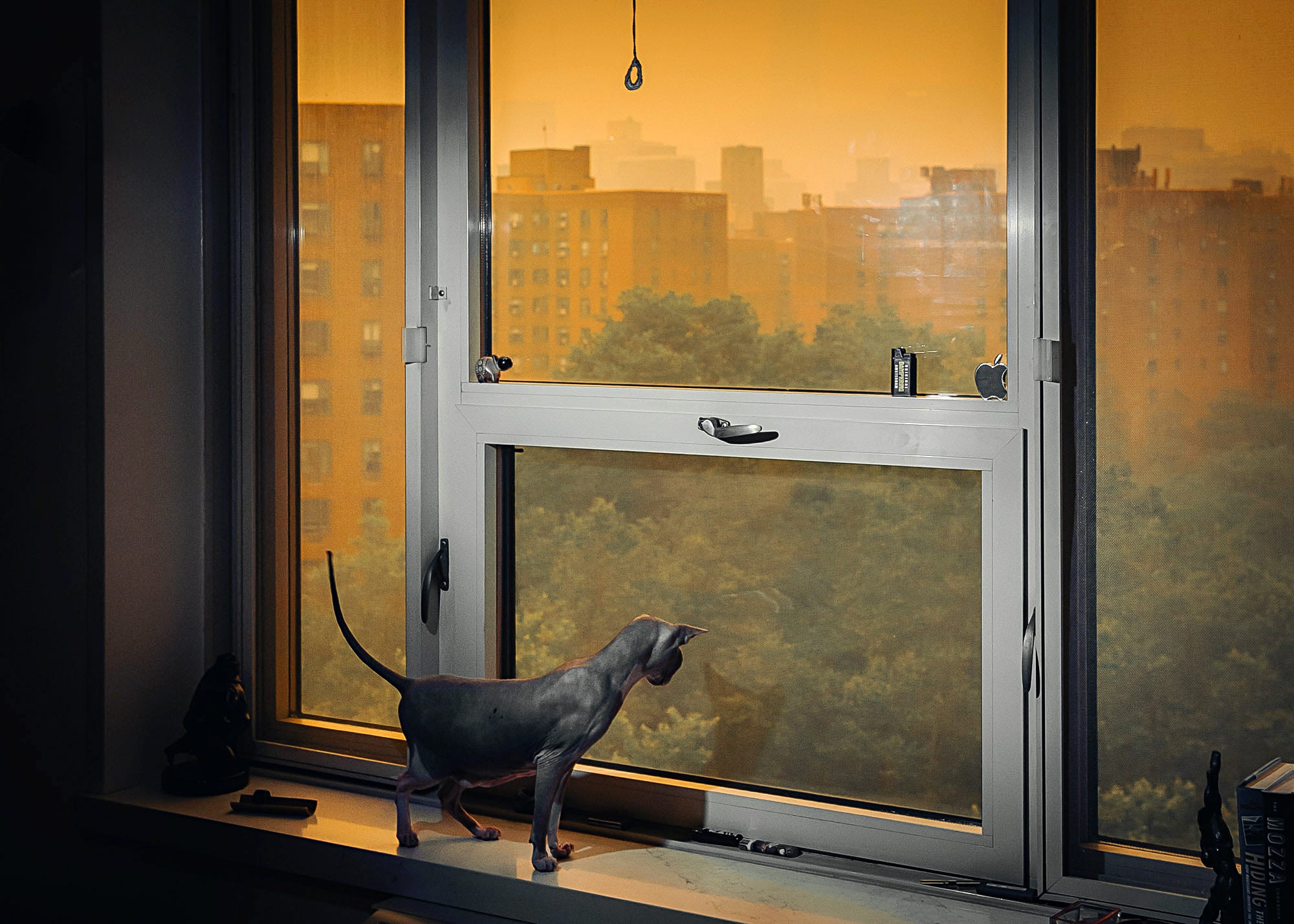 Year in Review, 2023 - by Dina Litovsky - In the Flash