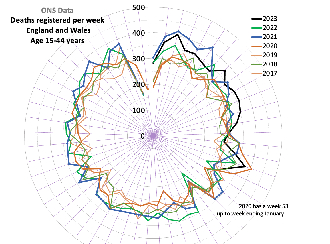 Excess deaths series - Ages 15 to 44.