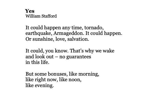 Poems for Your Weekend - by Maya C. Popa - Poetry Today