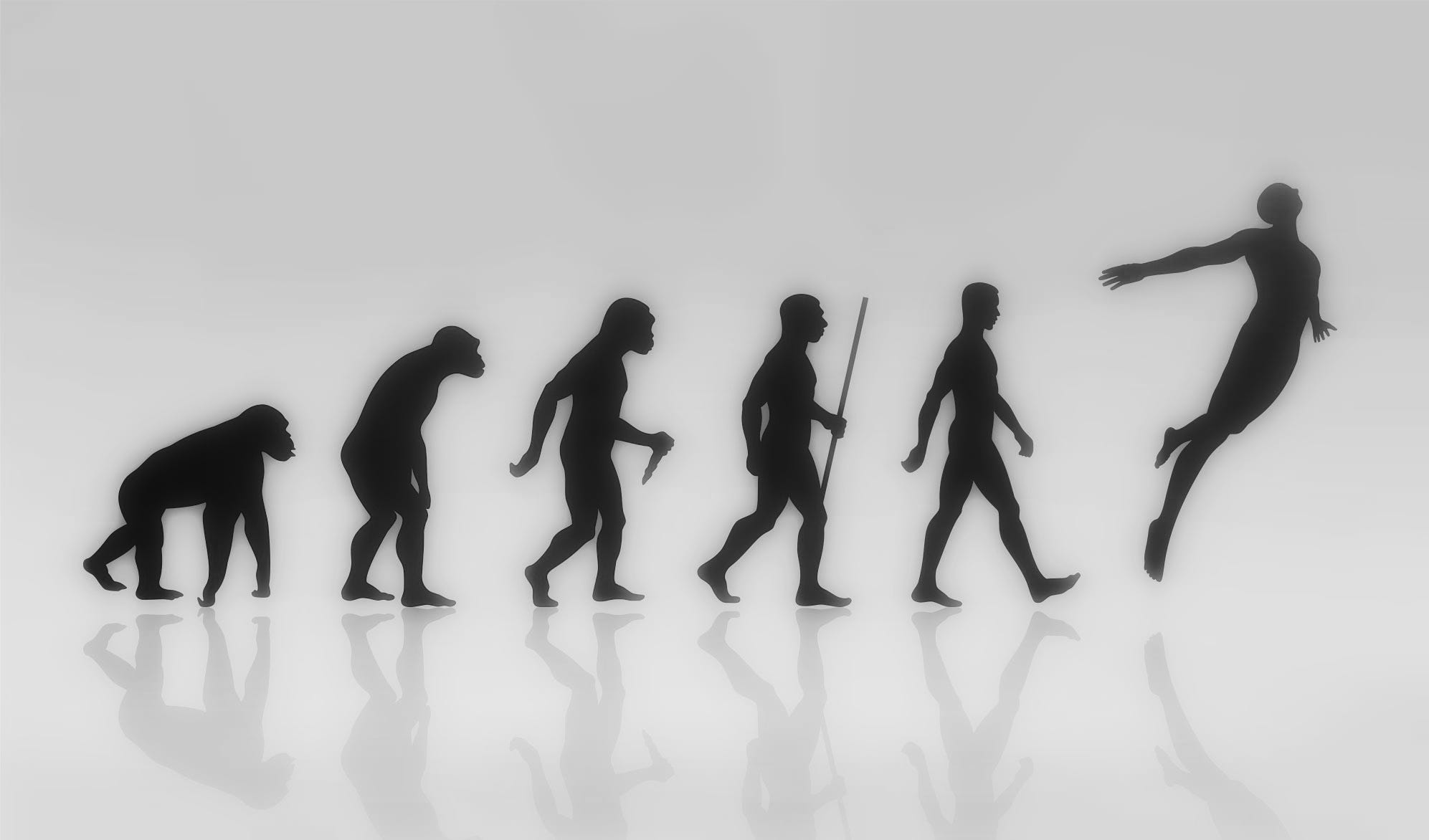 Hegelian History - by Robert Holmes