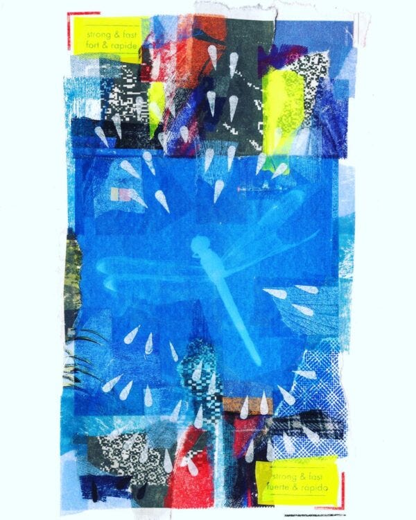 Printmaking with the sun - Austin Kleon