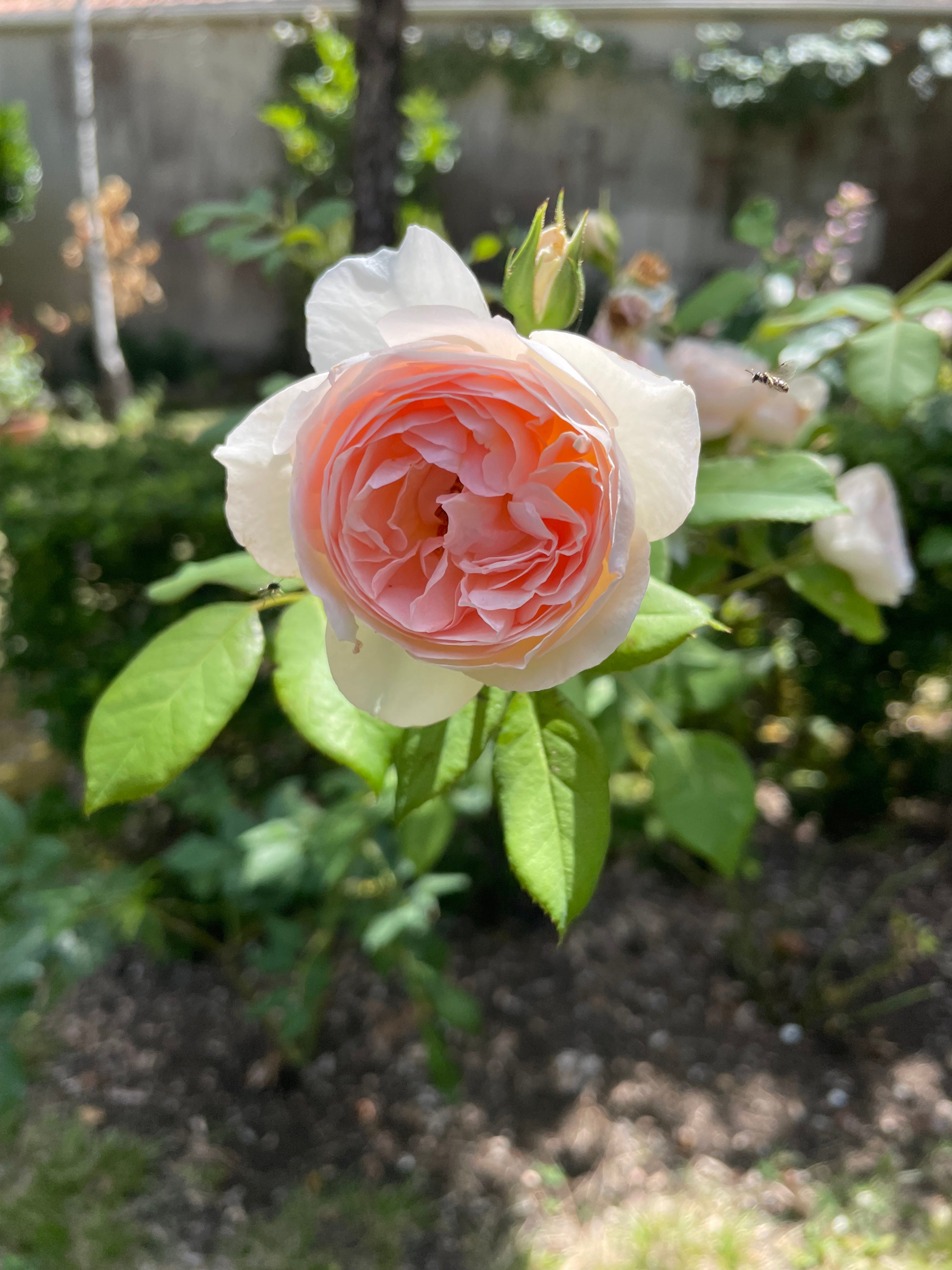 Beach Weekend - by Martini Glambassador