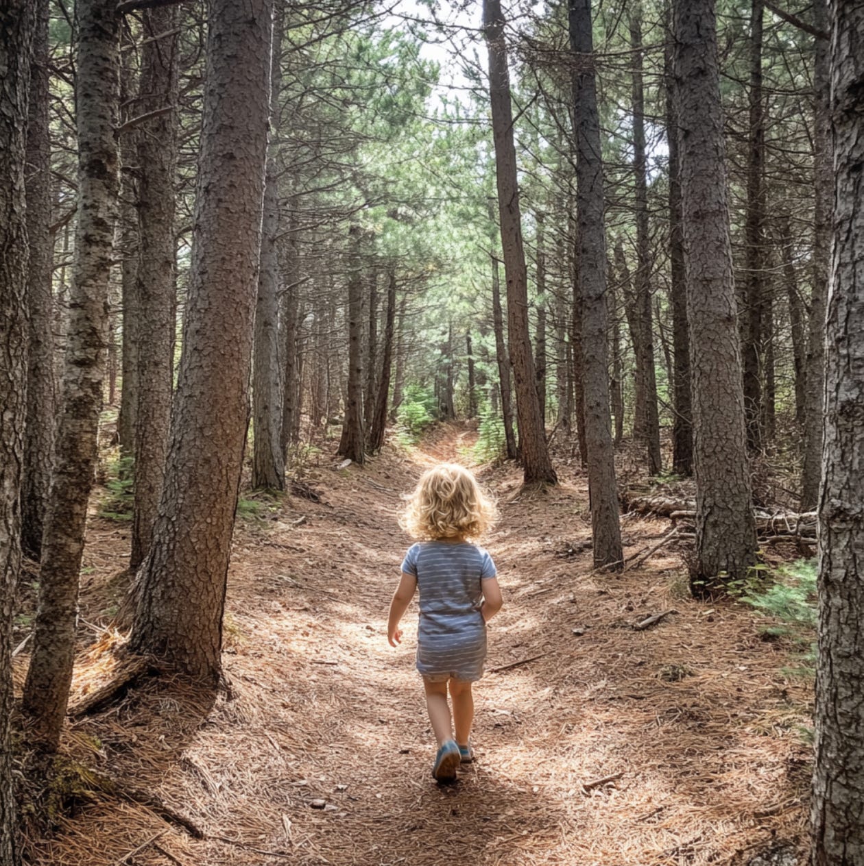 A Childhood Within The Woods - Rick Manelius's Newsletter