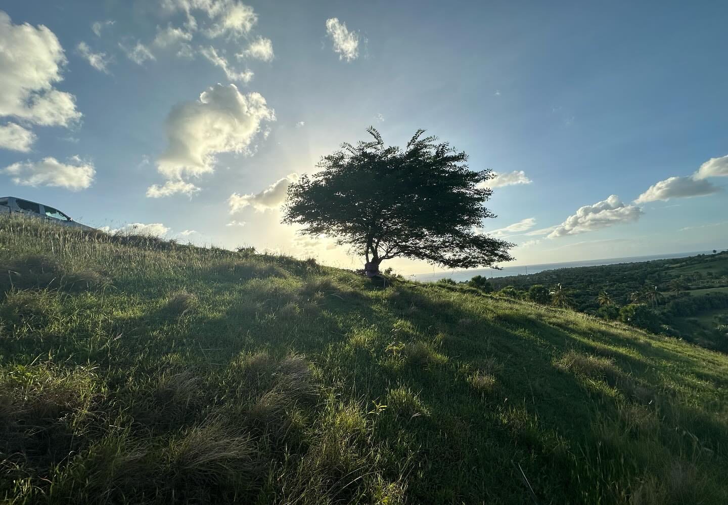 #34 - January 12 in all sobriety