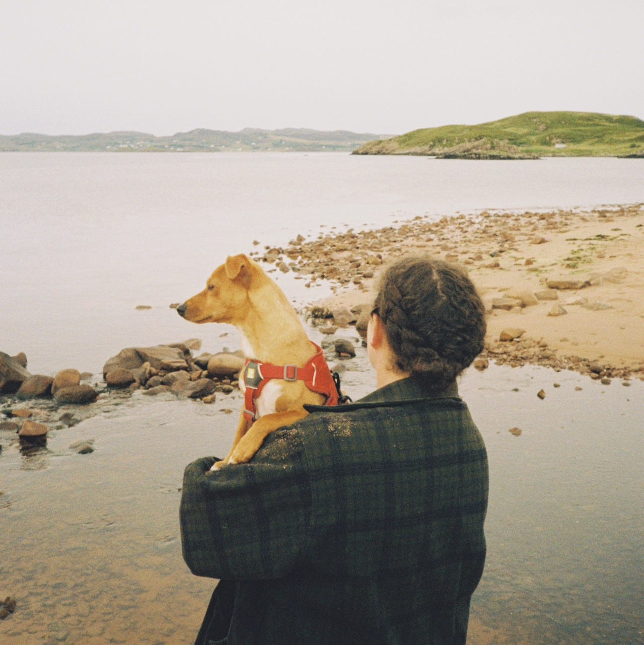 Amy Spires | Substack