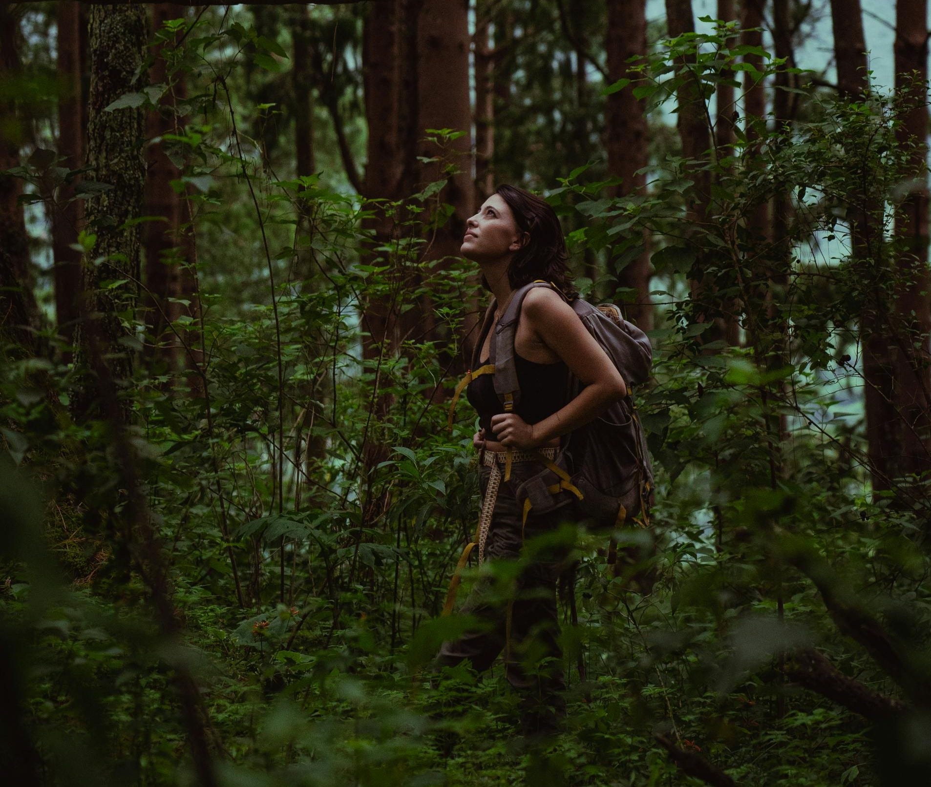 Bible Reading Takeaways: Isaiah 42-45 - by Don Simkovich