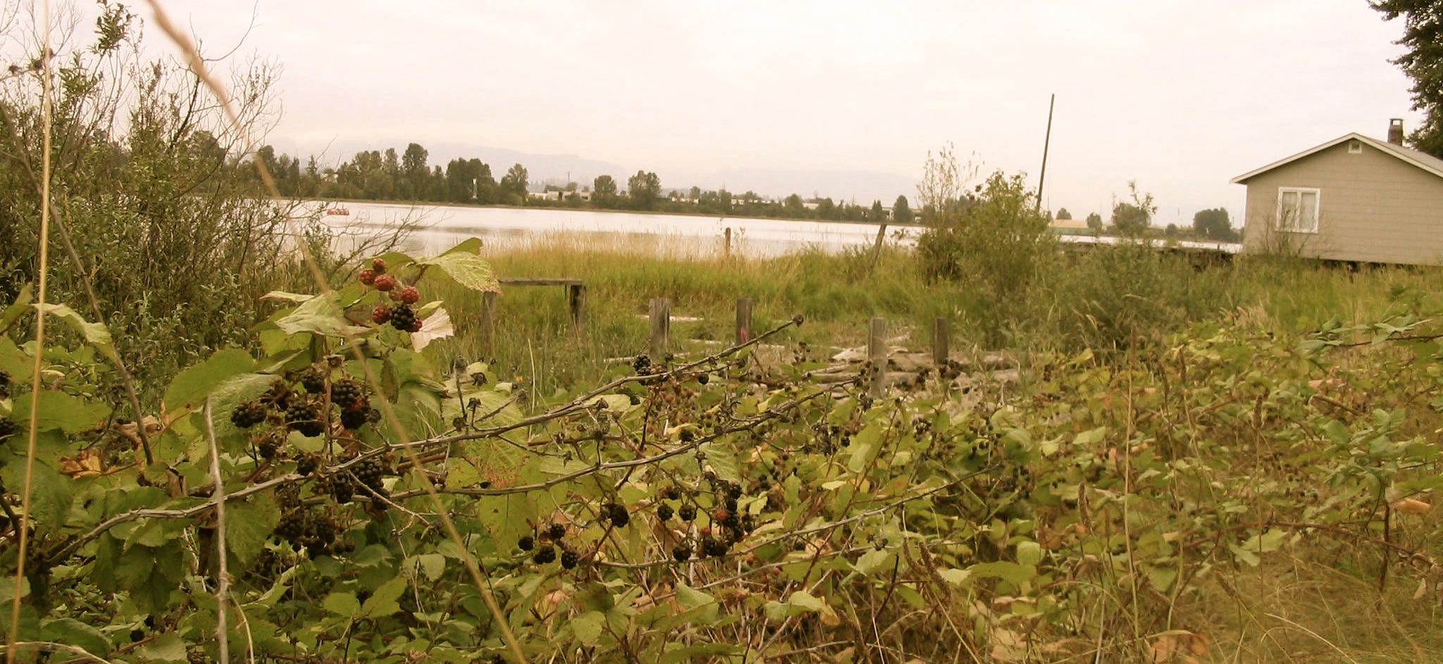 Mud Girl - 1-3 - by Alison Acheson - Alison’s Substack