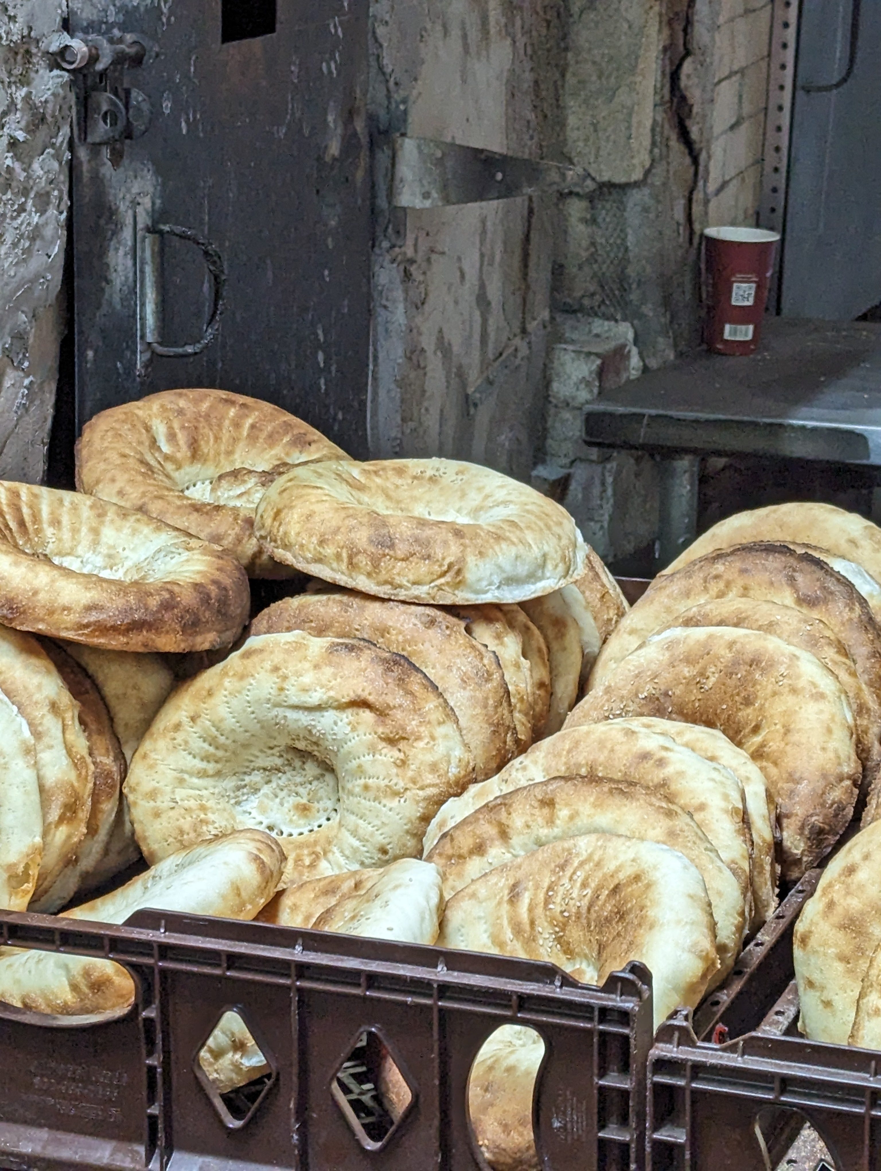 The Glories of Jewish Languages - by Aviya Kushner