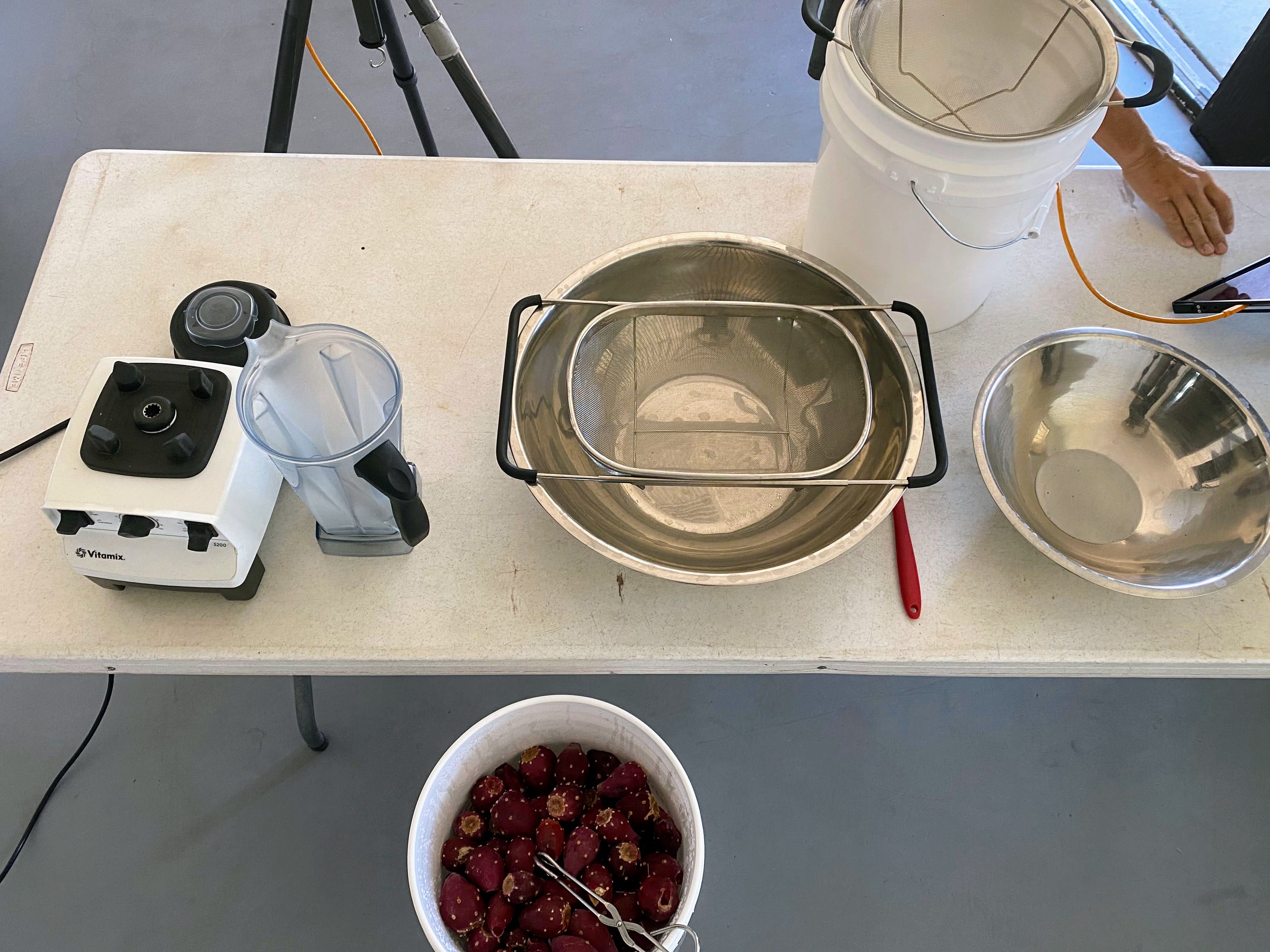How to Process Prickly Pear Fruit for Juice - Part 2