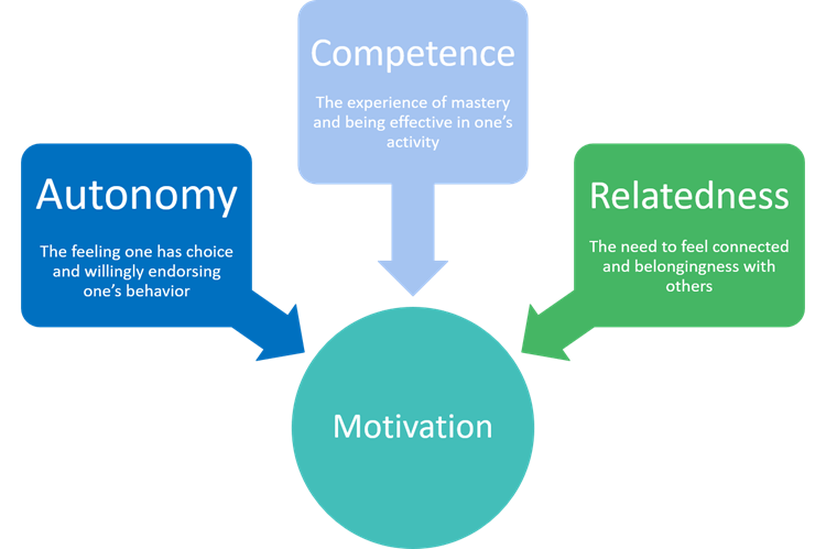 The Ultimate Guide to Behavioral Science Models, Frameworks and ...