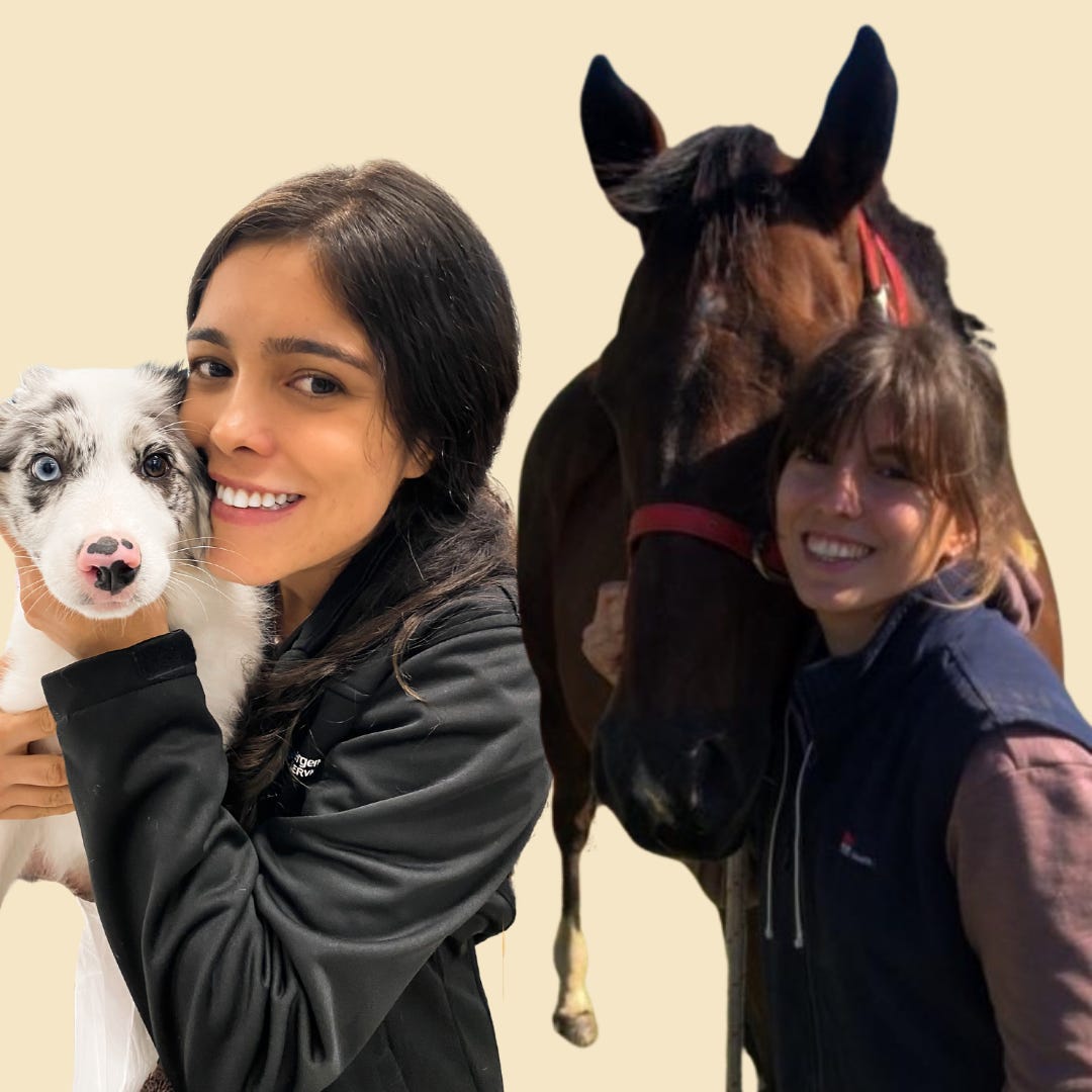 About - Brainy Bilby