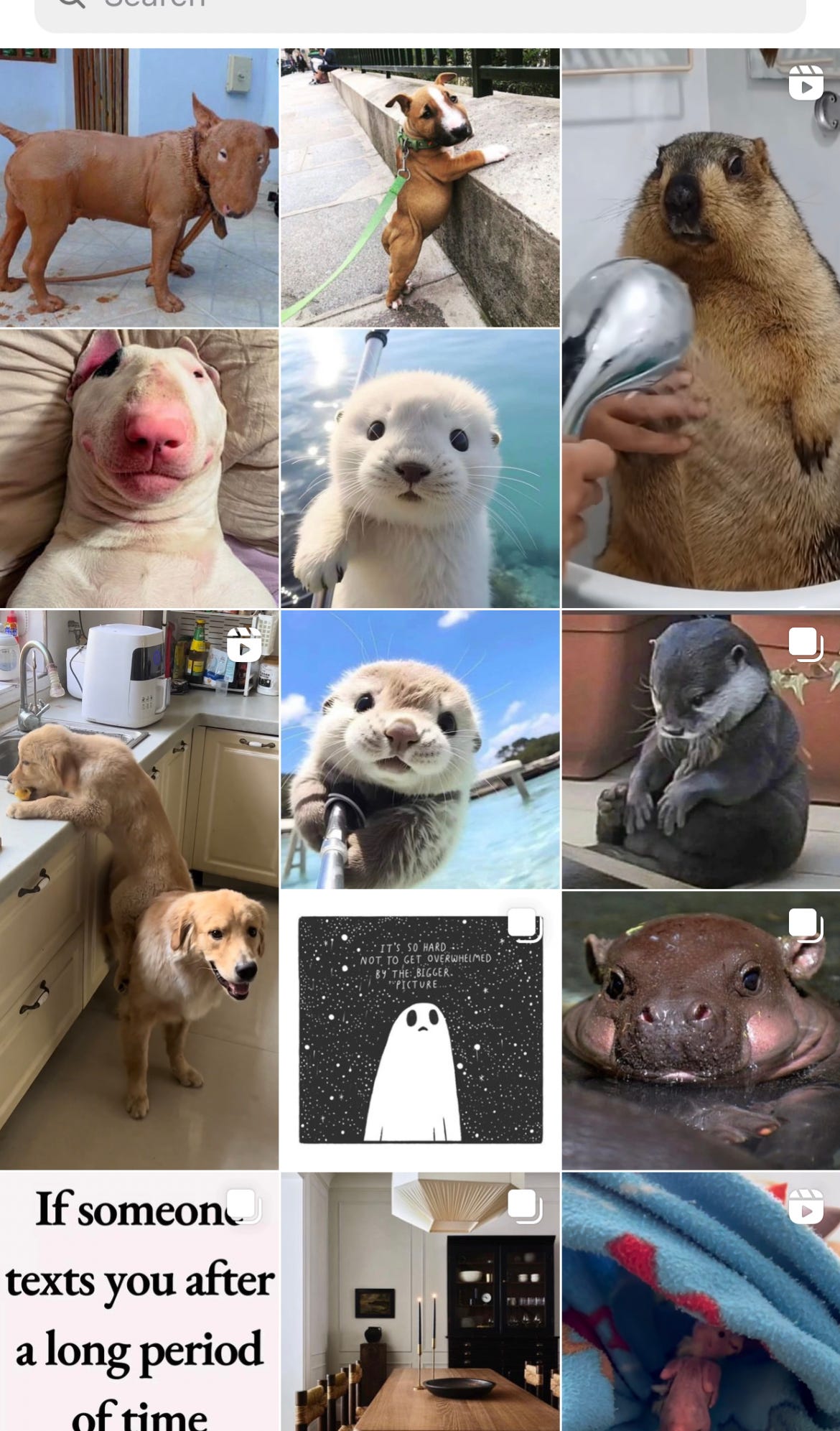 The Great Cake Debate - by Meecham Whitson Meriweather