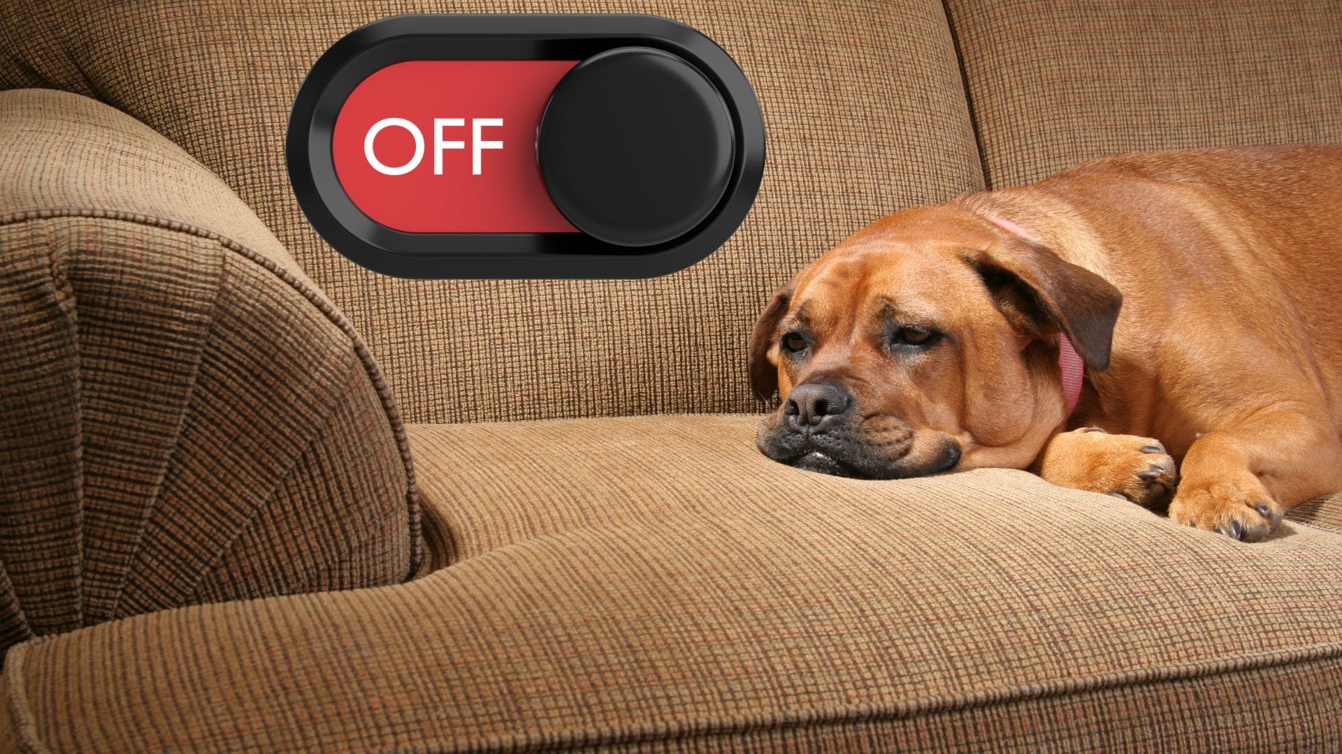 But it doesn't feel like a Wednesday... - by MV Braverman