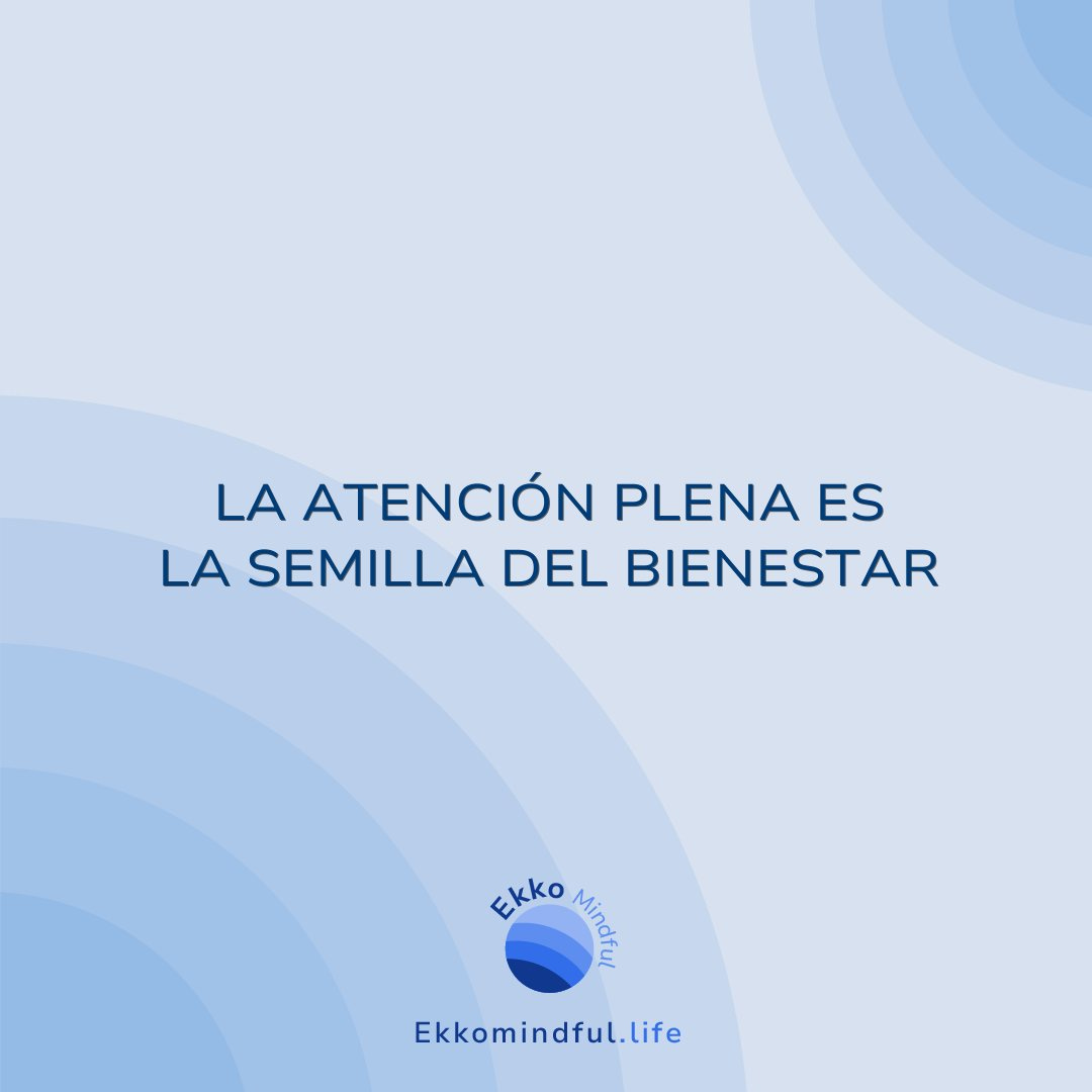 La atención plena es la semilla del bienestar