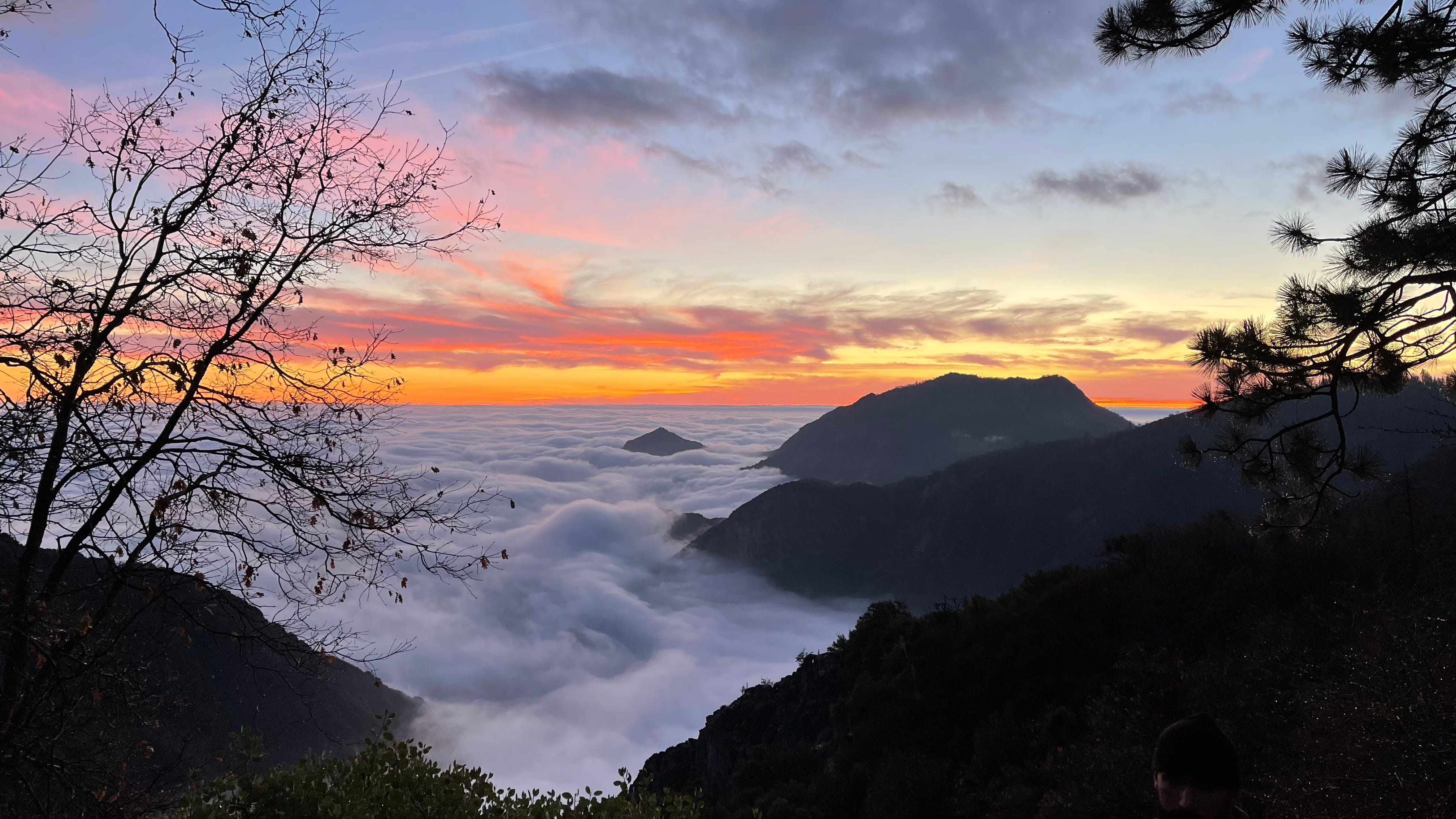 An Impossible Comfort - by Troy Putney