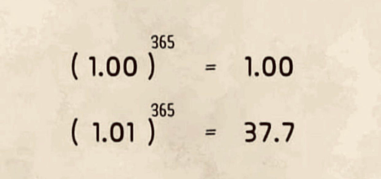 🥇 Everything you need to know about compounding