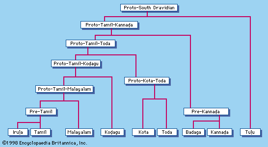 Oldest Language in India - by Amit Schandillia