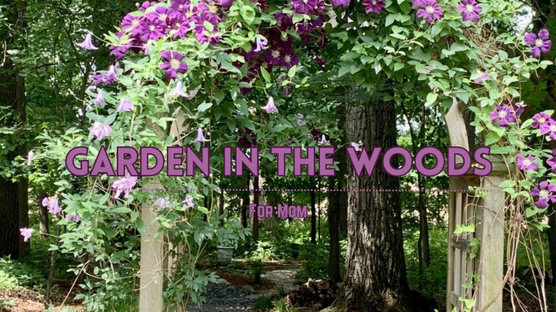 Garden in the Woods - by Caro Henry