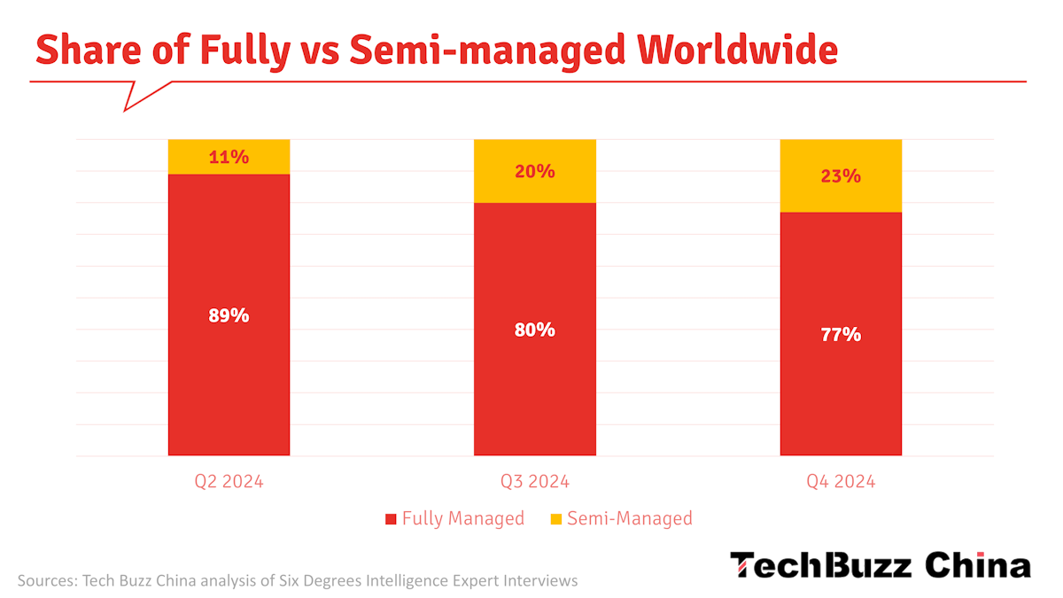 Temu Watch #6: Revelations at the end of 2024