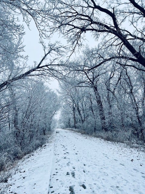 The Magic of Frost - by Suzanna de Baca