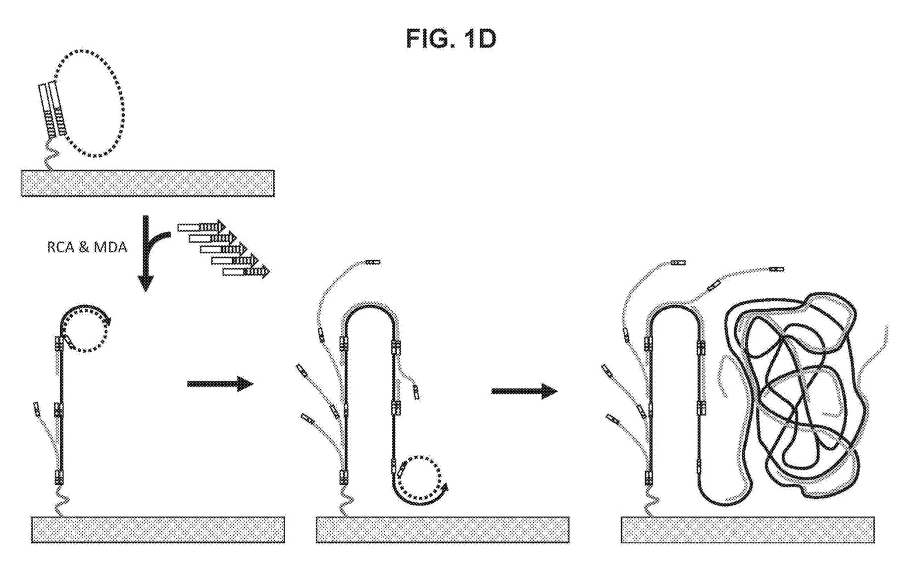 A Onso/Omniome Clustering Patent? - by Nava Whiteford