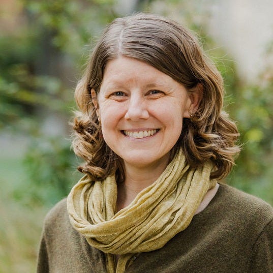 Heidi Haverkamp | Substack