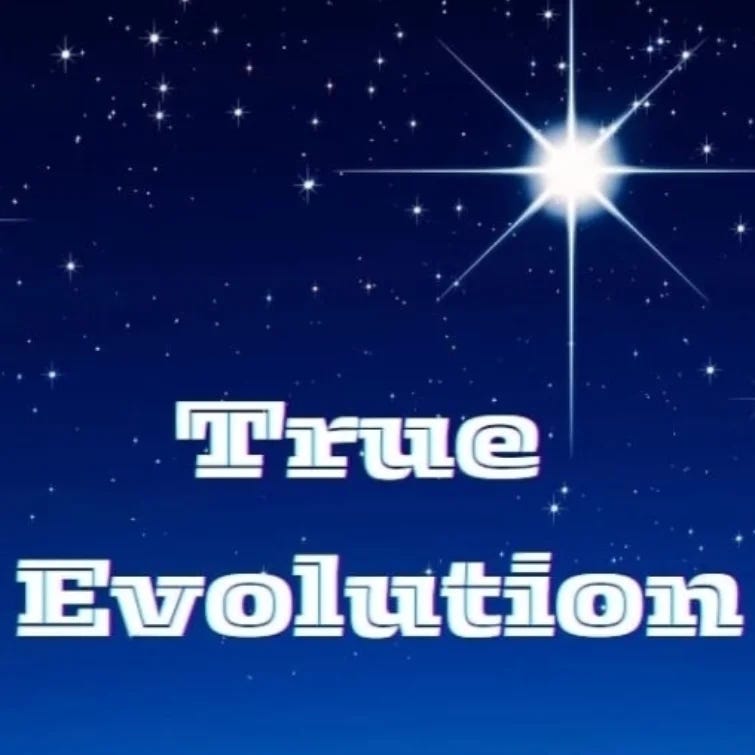 True Evolution subscriber chat