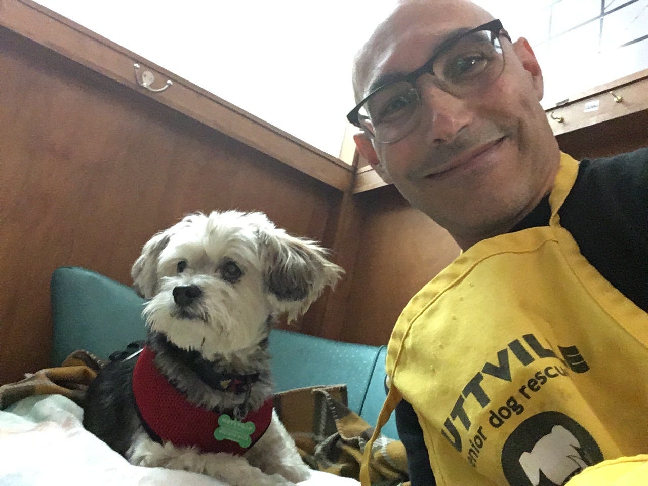 "Forever Young" - Bob Dylan, Rod Stewart and Alphaville's peans to living a full life