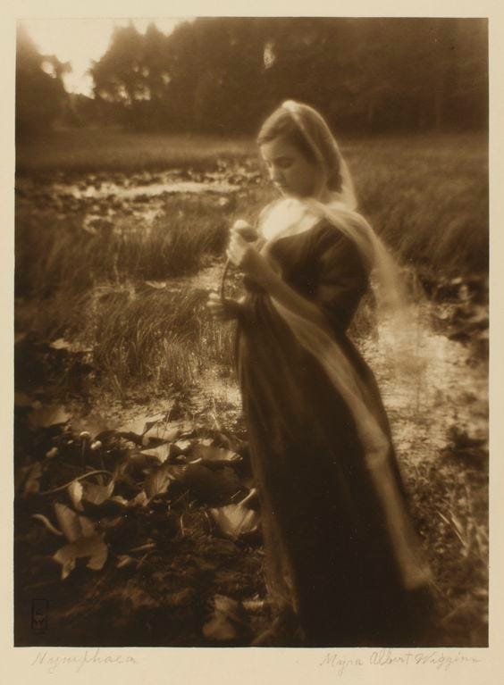 THE VEIL IS SHREDDED - by neil hazard 🌘 - thin place