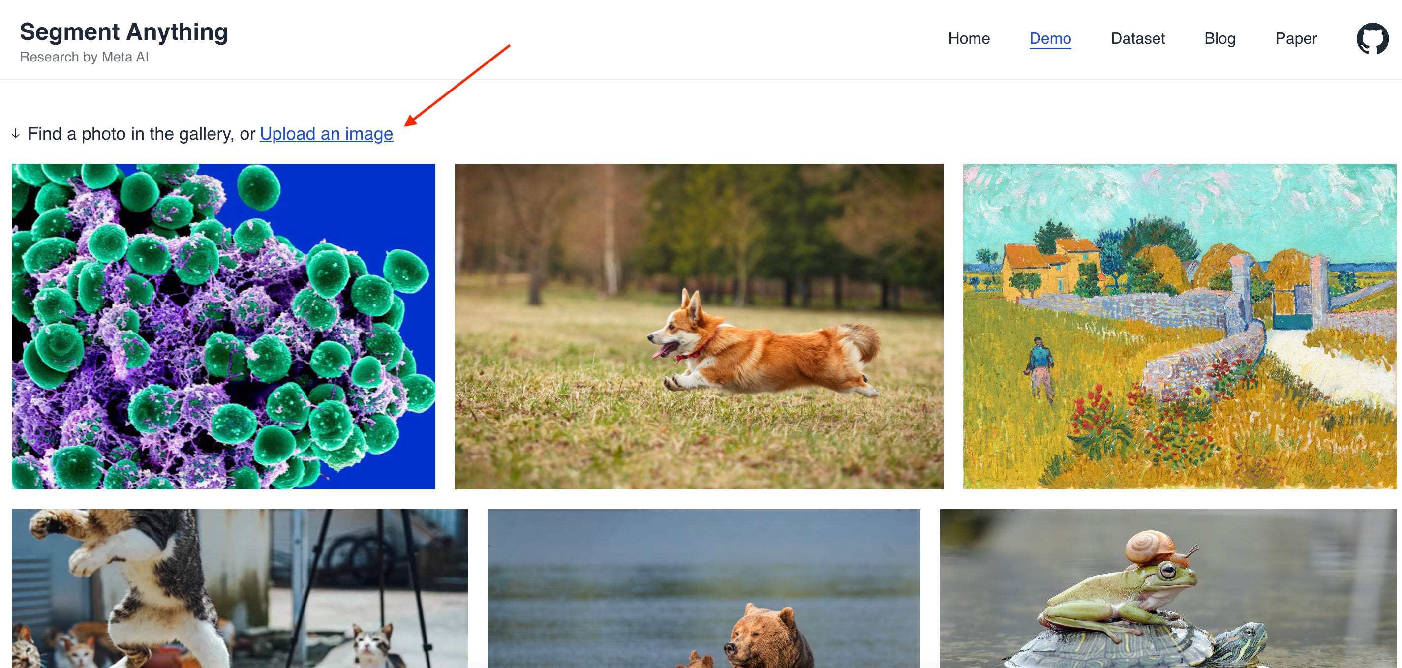 🎨 Segment Any Image: Tutorial. - by Yaro Celis