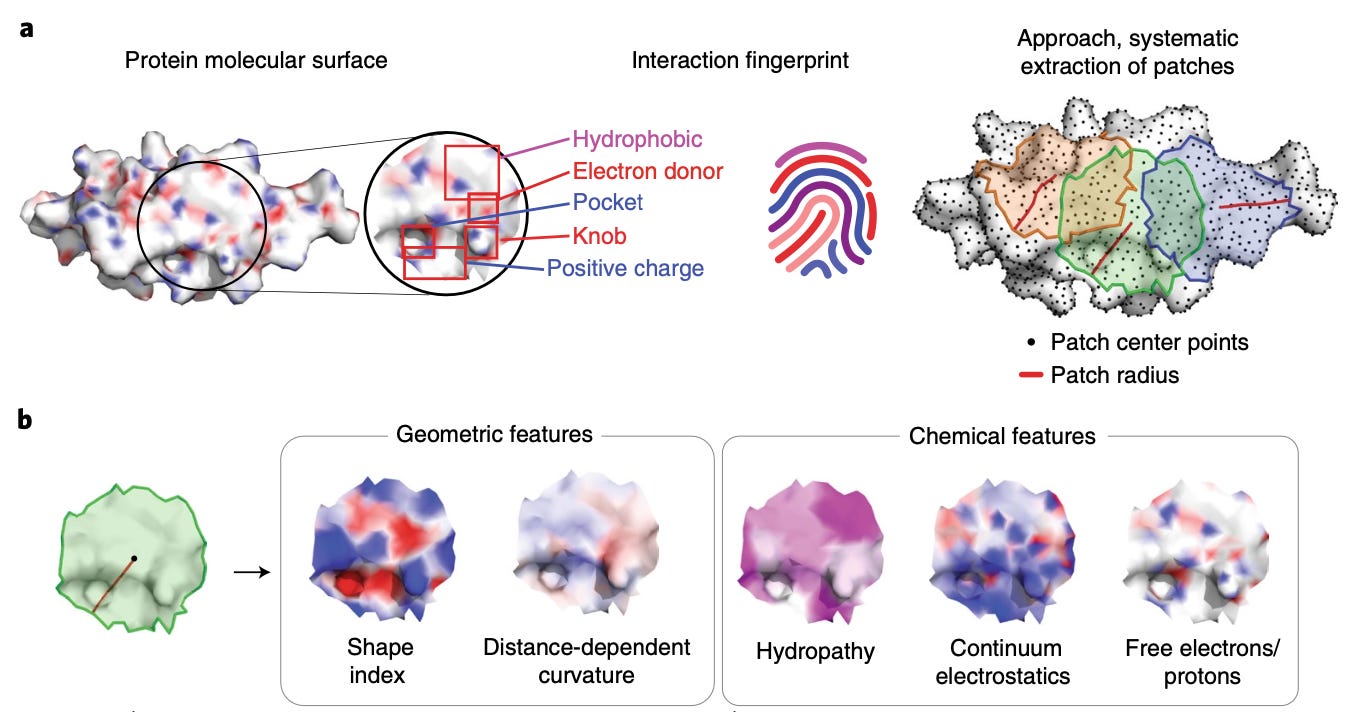 NeurIPS 2023 Roundup: Generative Protein Design