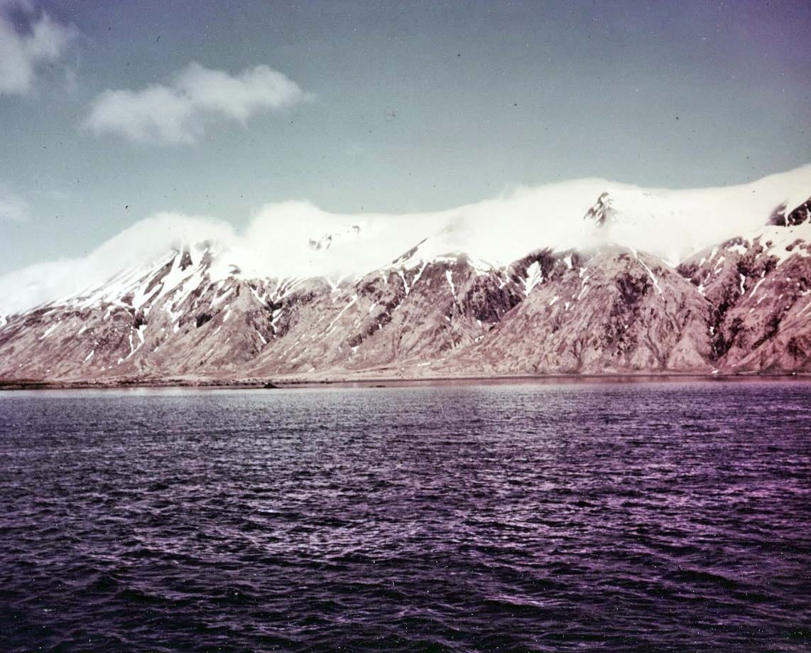 Last desperate hours of Japanese on Attu