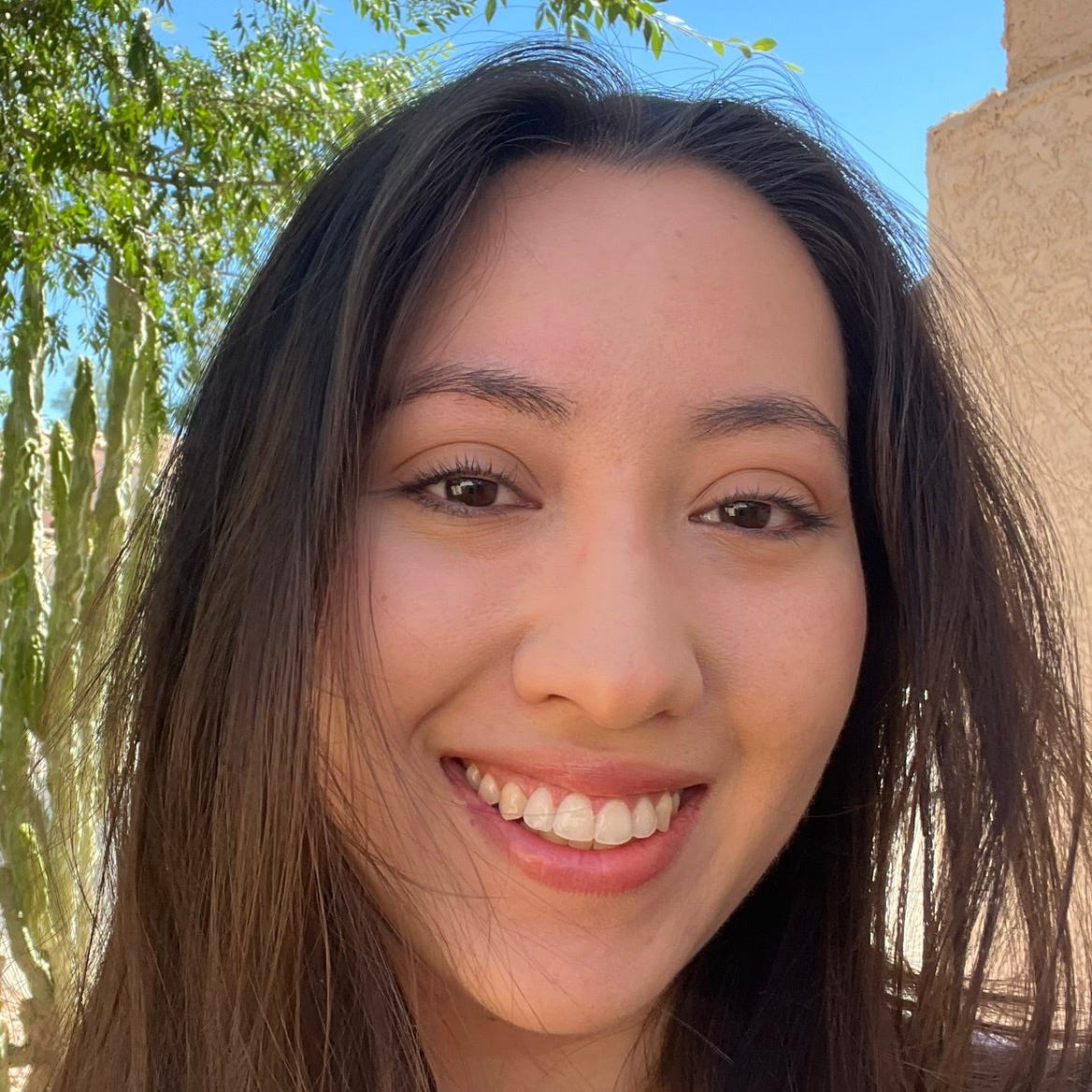 Rebecca Ericson-Hua | Substack