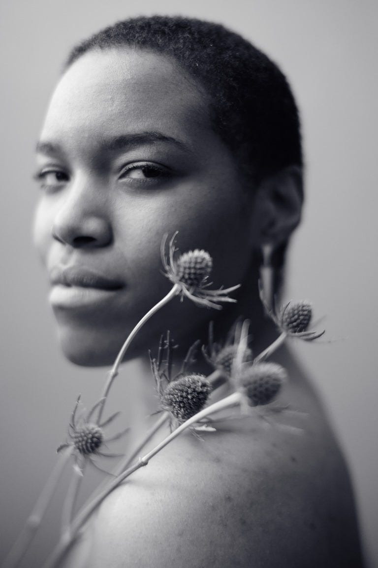 Seeing Beauty in Life is a Skill - by David Bollt