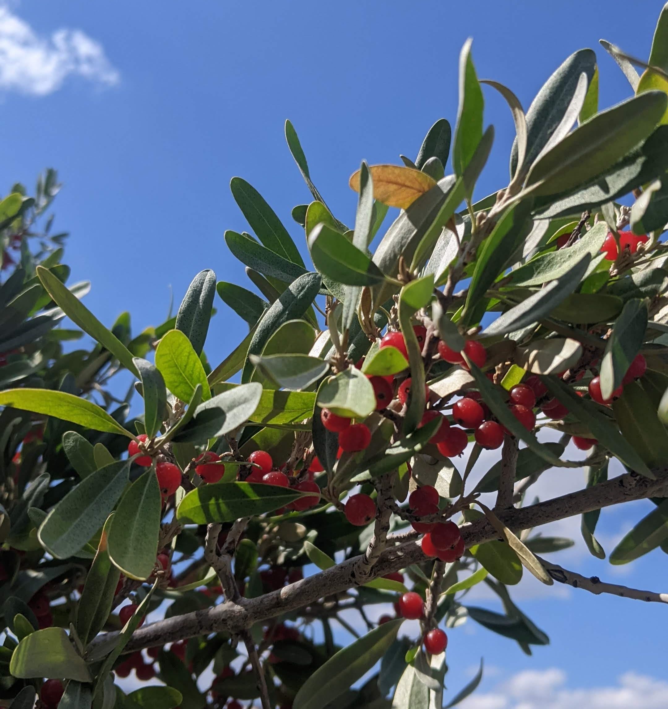 Balkan Ecology Project