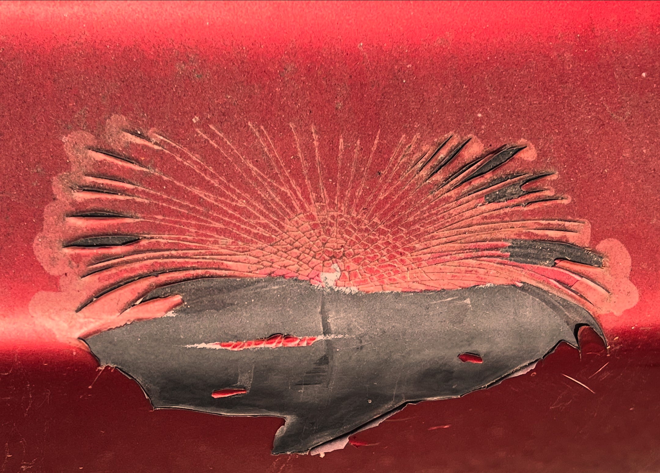 Dinosaur of Light - by Alana Siegel - Alana’s Substack