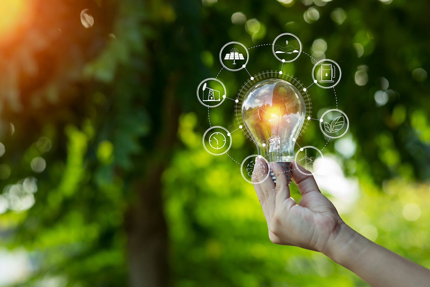 Understanding Exergy - by Tanner Janesky