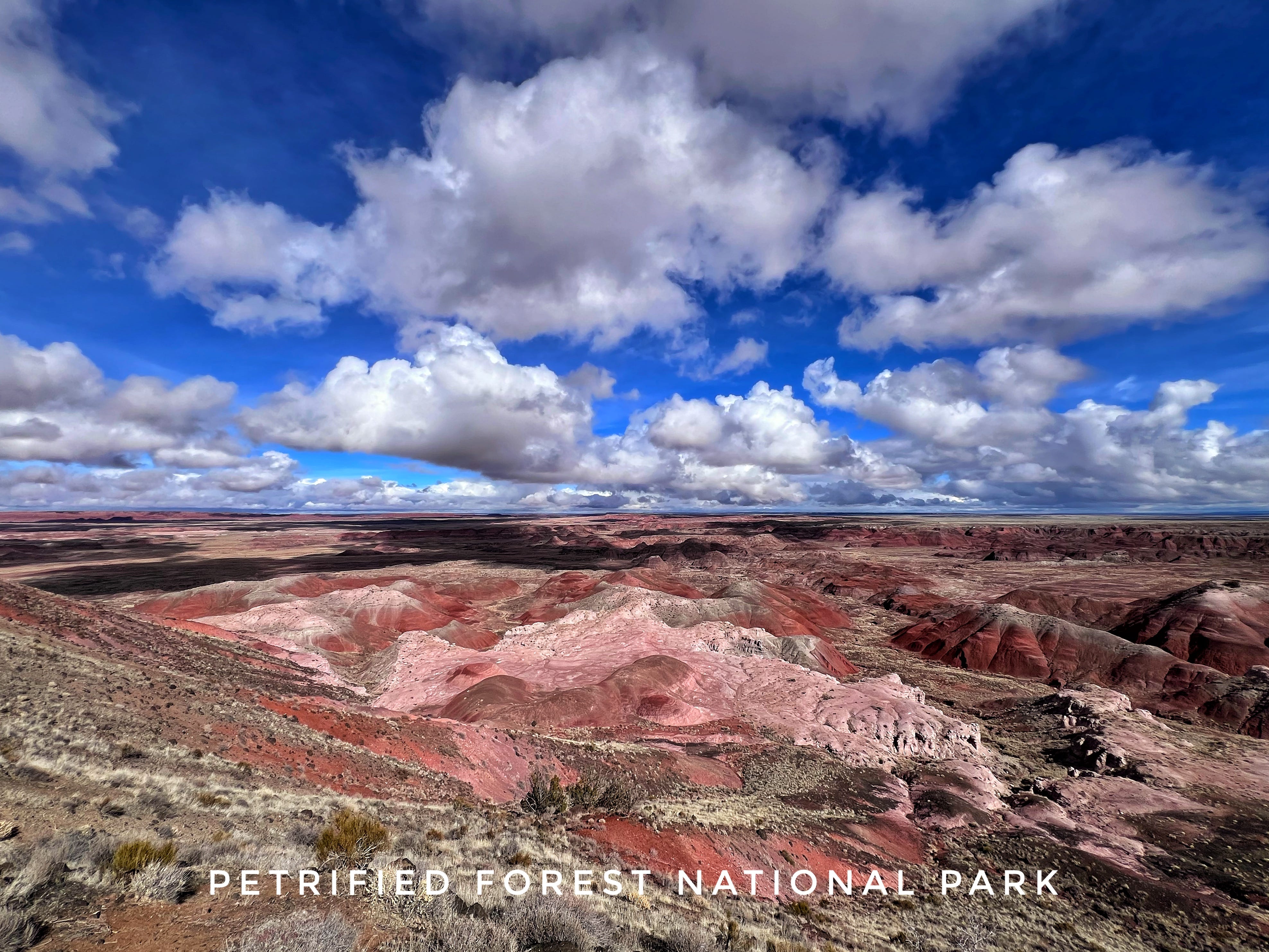 'Mudded Out' in the Four Corners - Tom Ryan, Author