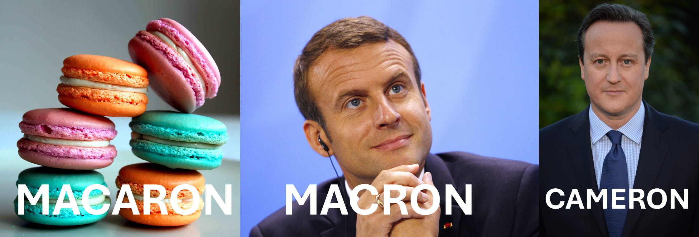 Macarons Memes