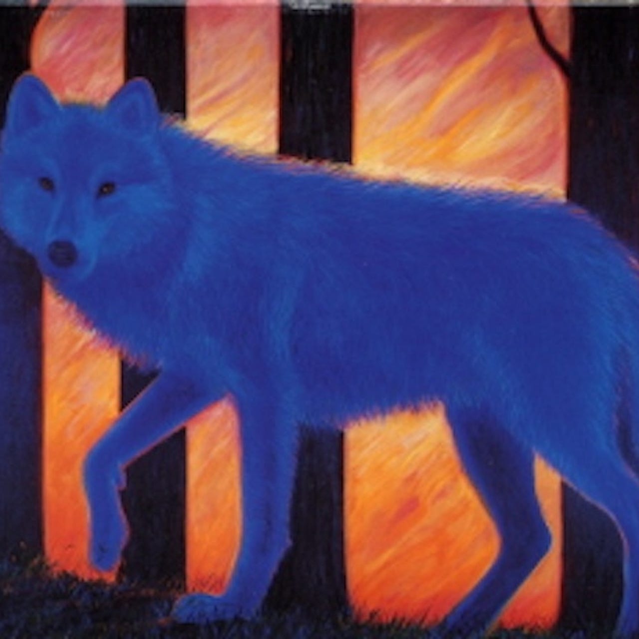 Join James Don BlueWolf’s subscriber chat